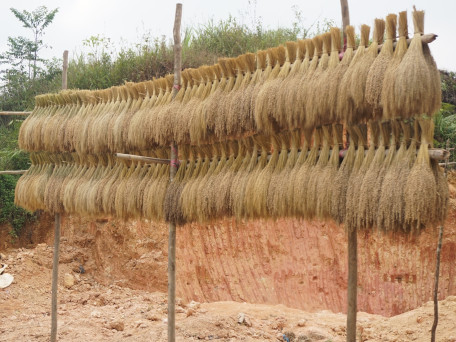 UPLAND Project - Direktorat Jenderal Prasarana dan Sarana Pertanian ...