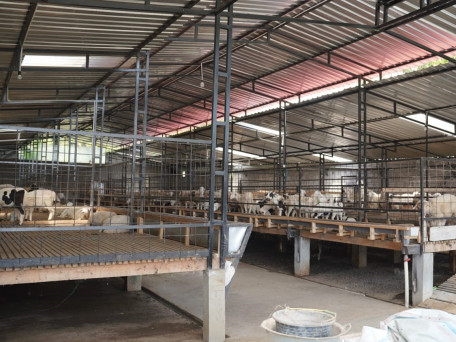 UPLAND Project - Direktorat Jenderal Prasarana dan Sarana Pertanian ...