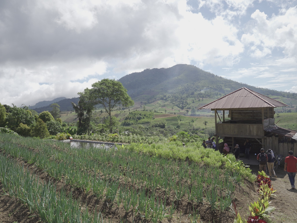 UPLAND Project - Direktorat Jenderal Prasarana dan Sarana Pertanian ...