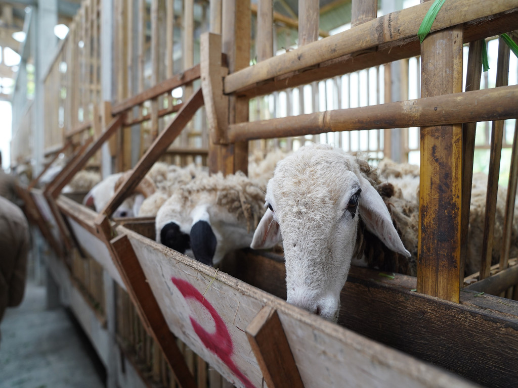 UPLAND Project - Direktorat Jenderal Prasarana dan Sarana Pertanian ...