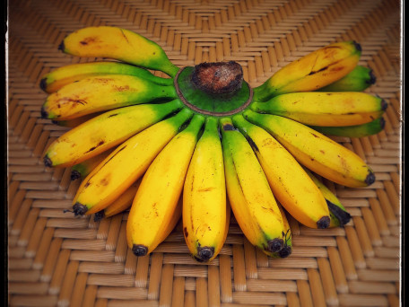 UPLAND Project - Direktorat Jenderal Prasarana dan Sarana Pertanian ...