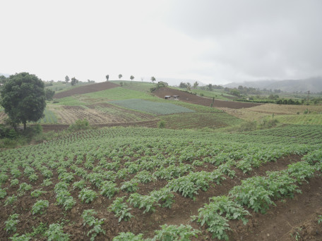UPLAND Project - Direktorat Jenderal Prasarana dan Sarana Pertanian ...